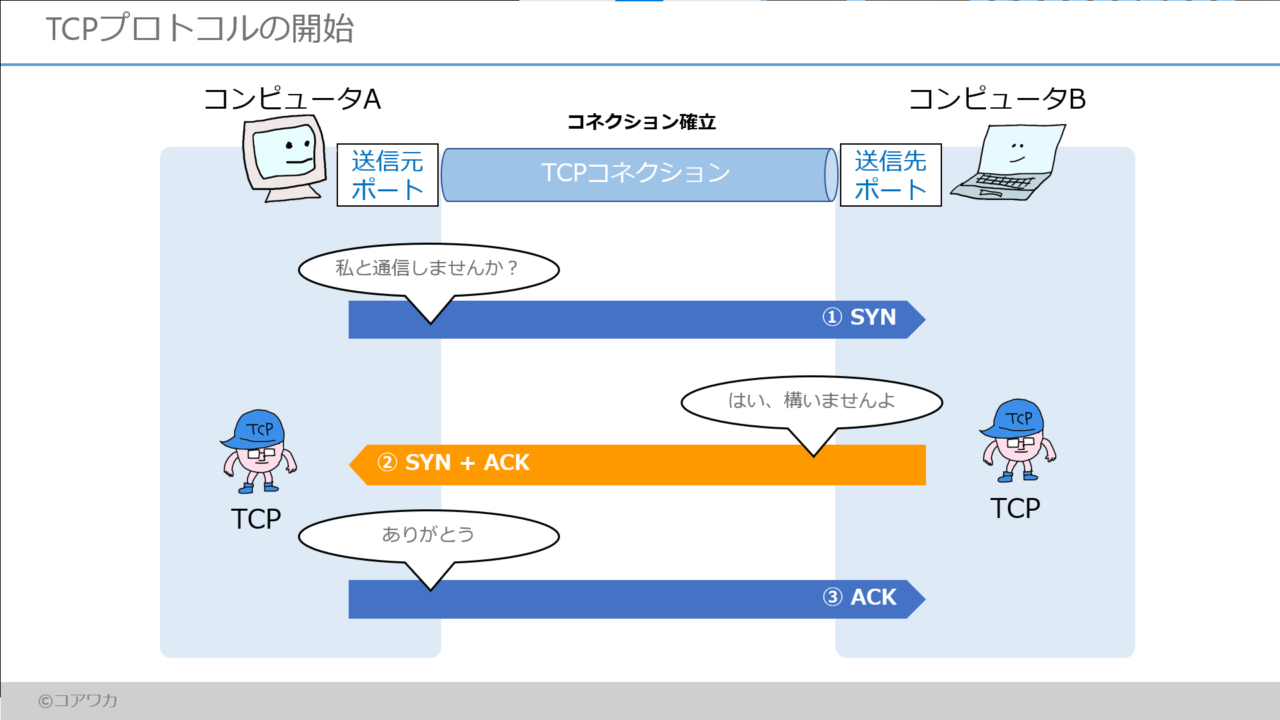 TCPプロトコル｜コアラでも分かるITスキル