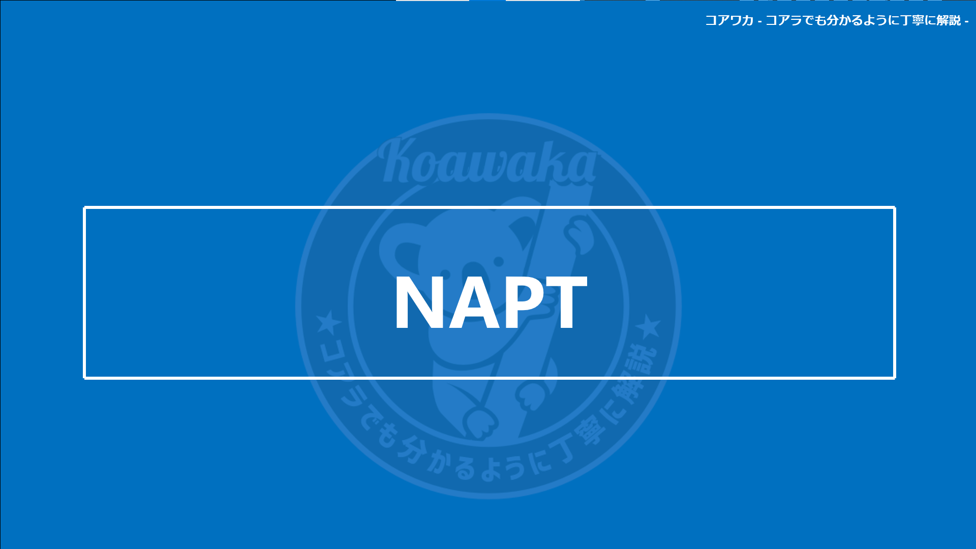 NAPT｜コアラでも分かるITスキル